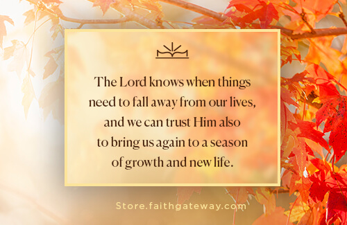 Fall Fellowship - Shine Global Network